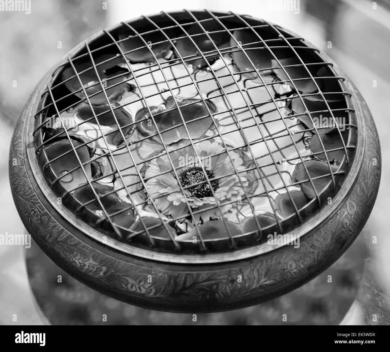 India, Rajasthan, Jaipur, rose petals in a bowl full of water Stock ...