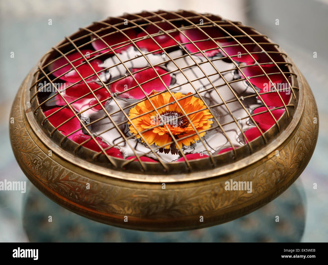 India, Rajasthan, Jaipur, rose petals in a bowl full of water Stock ...