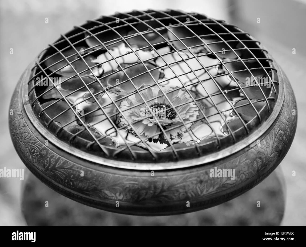 India, Rajasthan, Jaipur, rose petals in a bowl full of water Stock ...