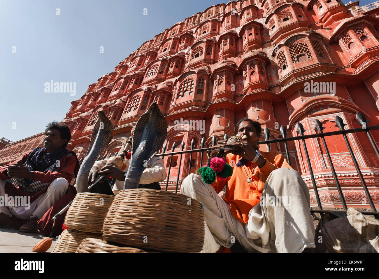 India. Rajasthan, Jaipur, snake charmers make two king cobras ...