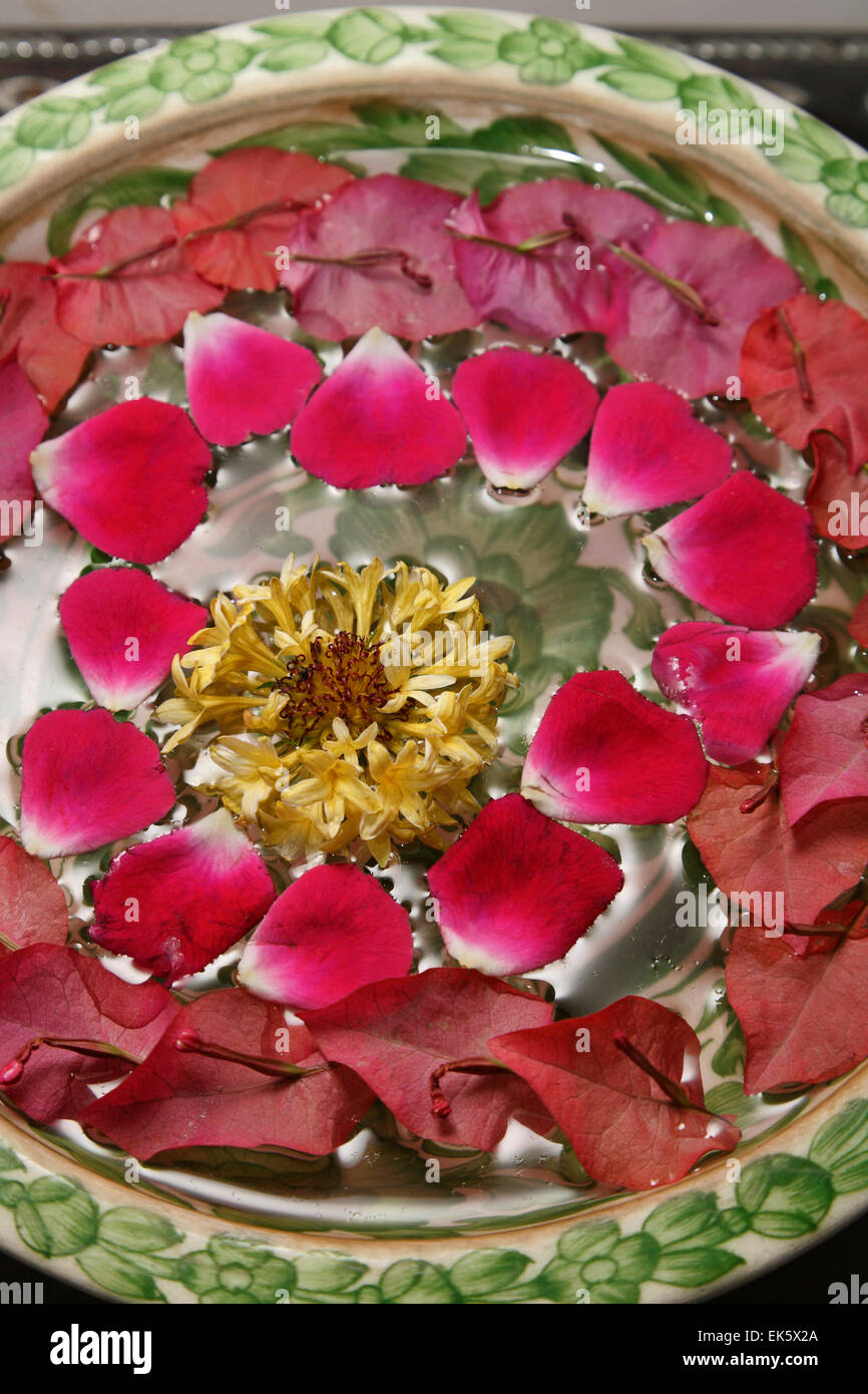 India, Rajasthan, Jaipur, rose petals in a bowl full of water Stock ...