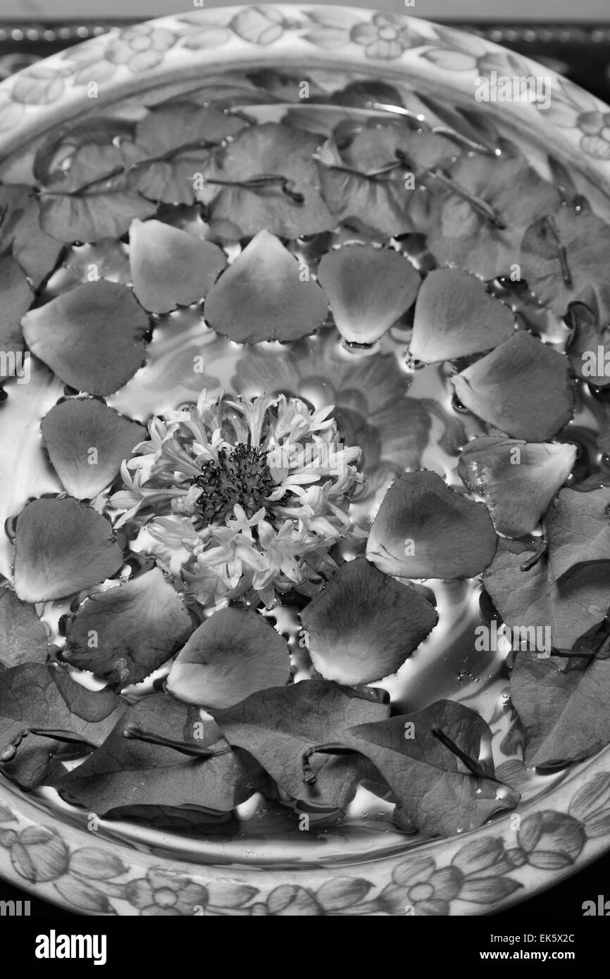 India, Rajasthan, Jaipur, rose petals in a bowl full of water Stock ...