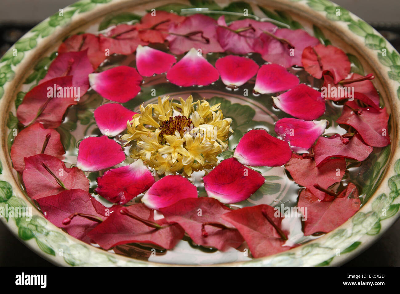 India, Rajasthan, Jaipur, rose petals in a bowl full of water Stock ...