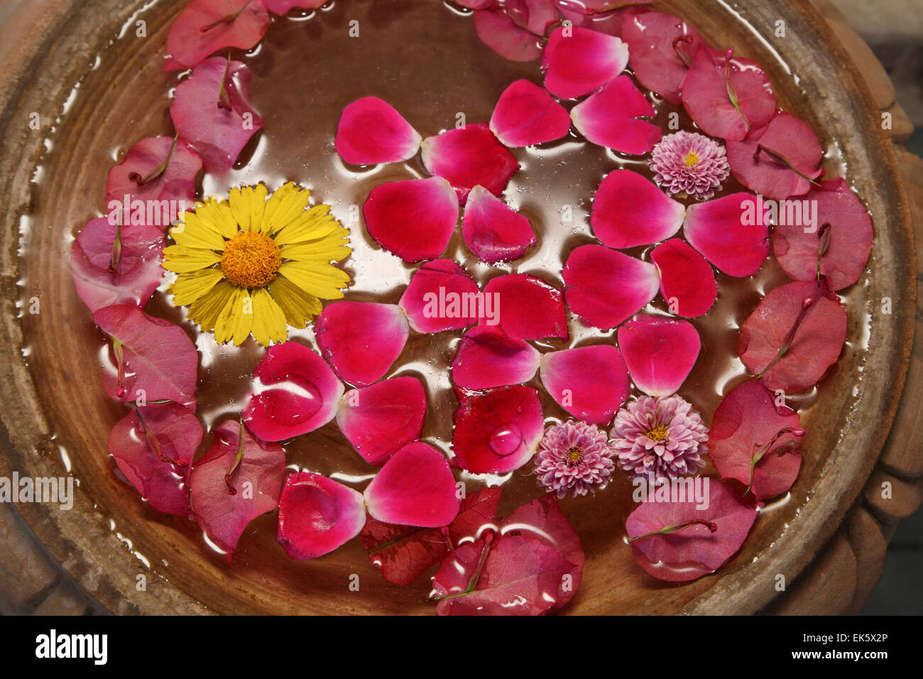 India, Rajasthan, Jaipur, rose petals in a bowl full of water Stock ...