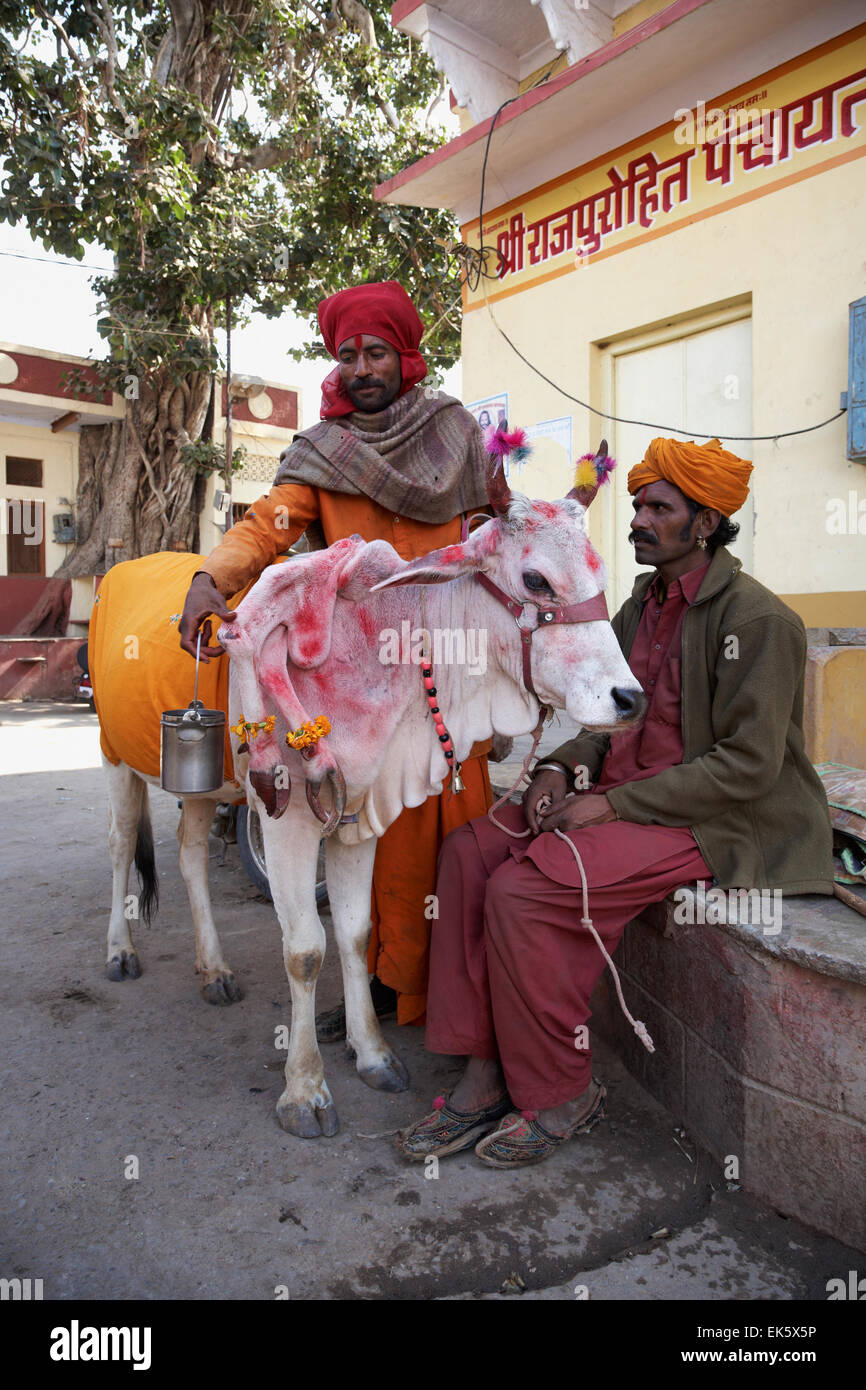 Indian man and a sacred cow hi-res stock photography and images - Alamy