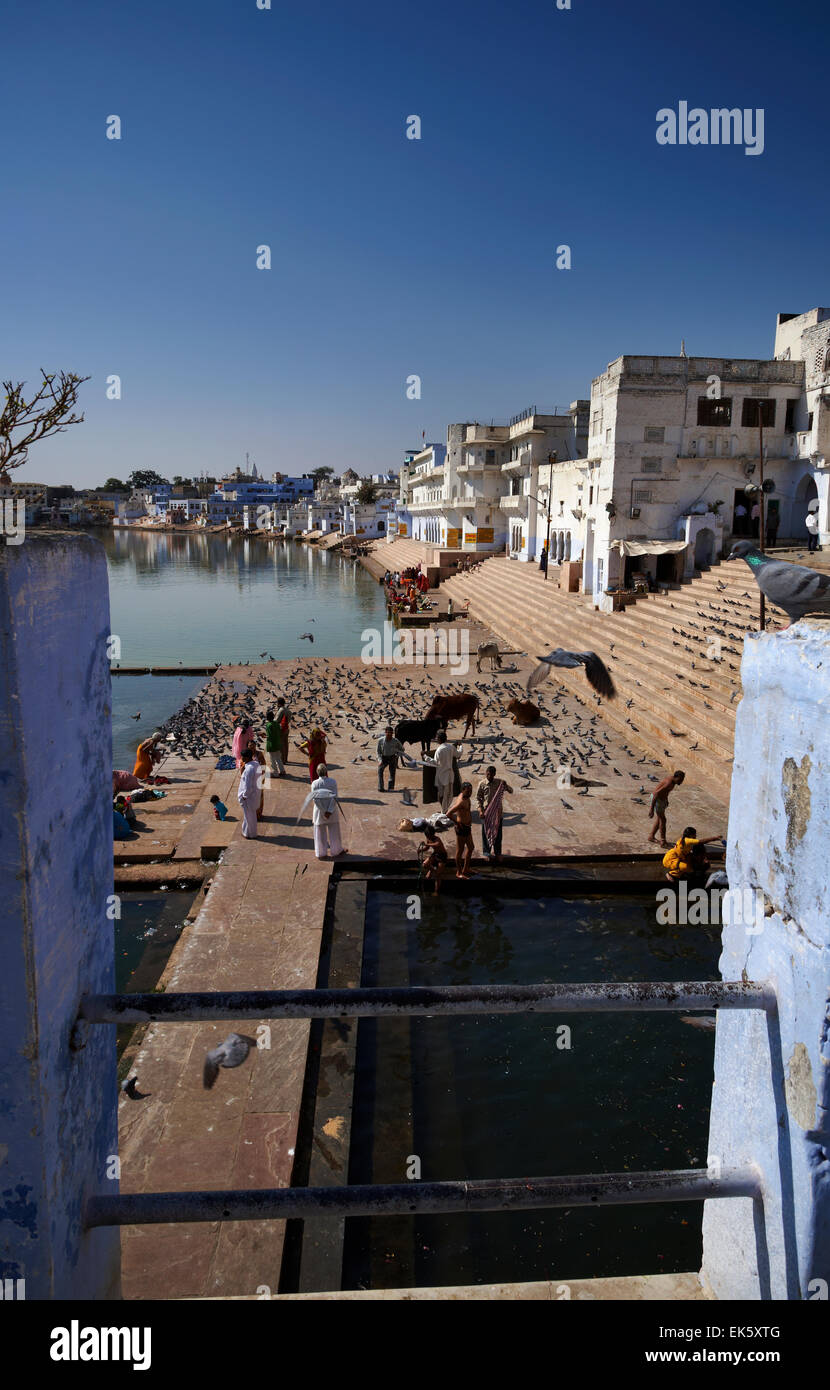 India, Rajasthan, Pushkar, indian pilgrims take a bath in the sacred ...