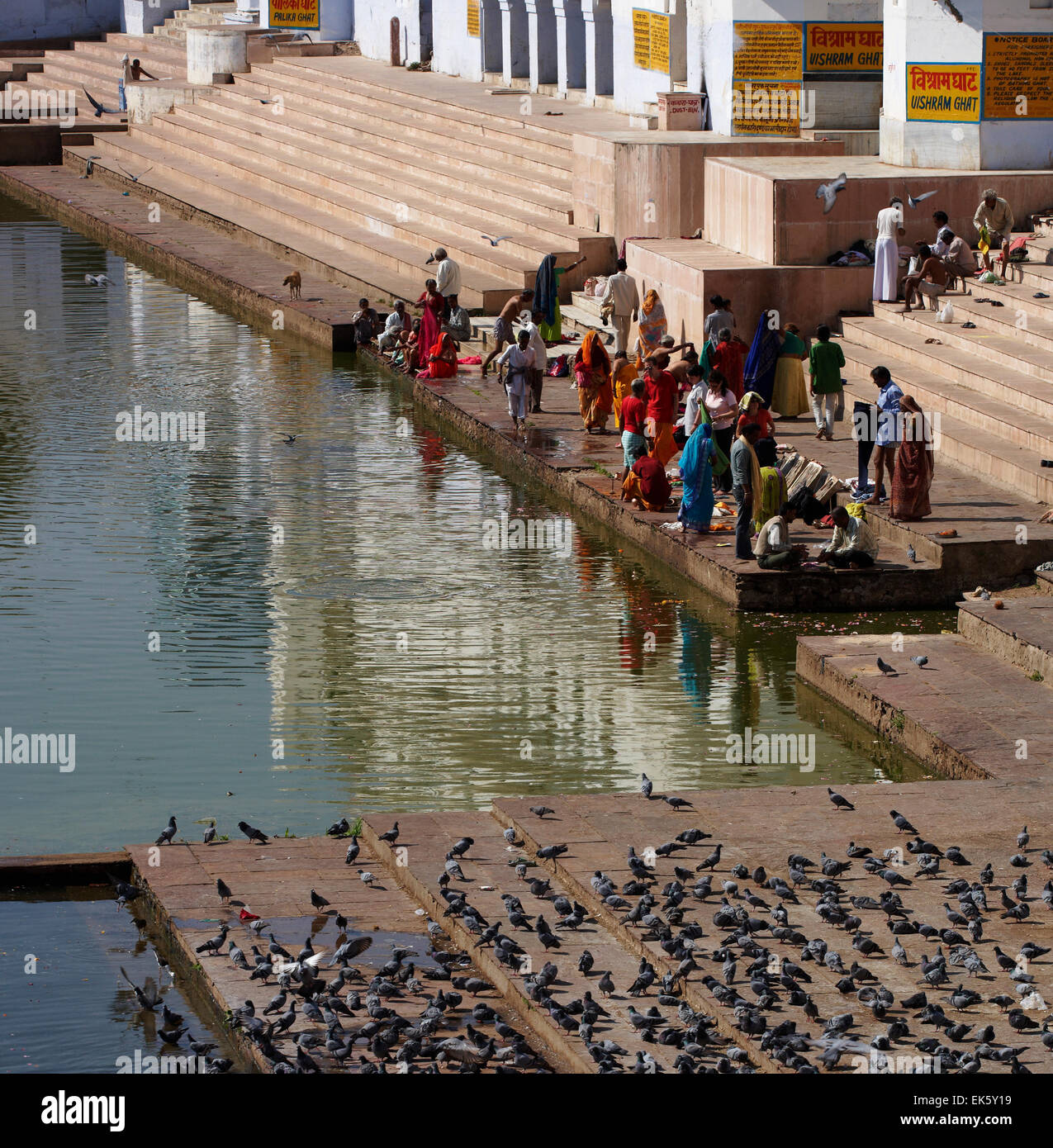 India, Rajasthan, Pushkar, indian pilgrims take a bath in the sacred ...