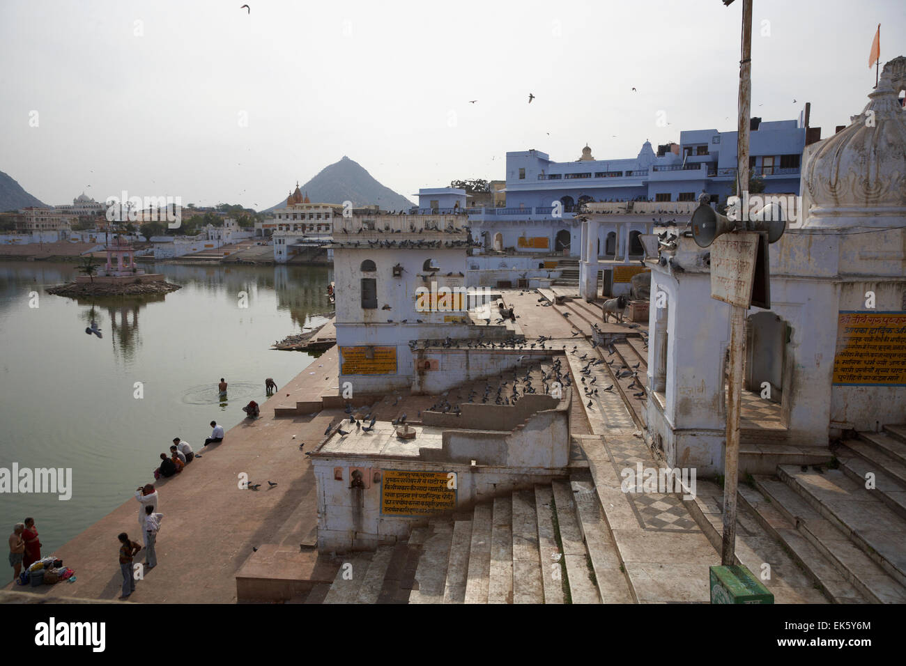 India, Rajasthan, Pushkar, indian pilgrims take a bath in the sacred ...