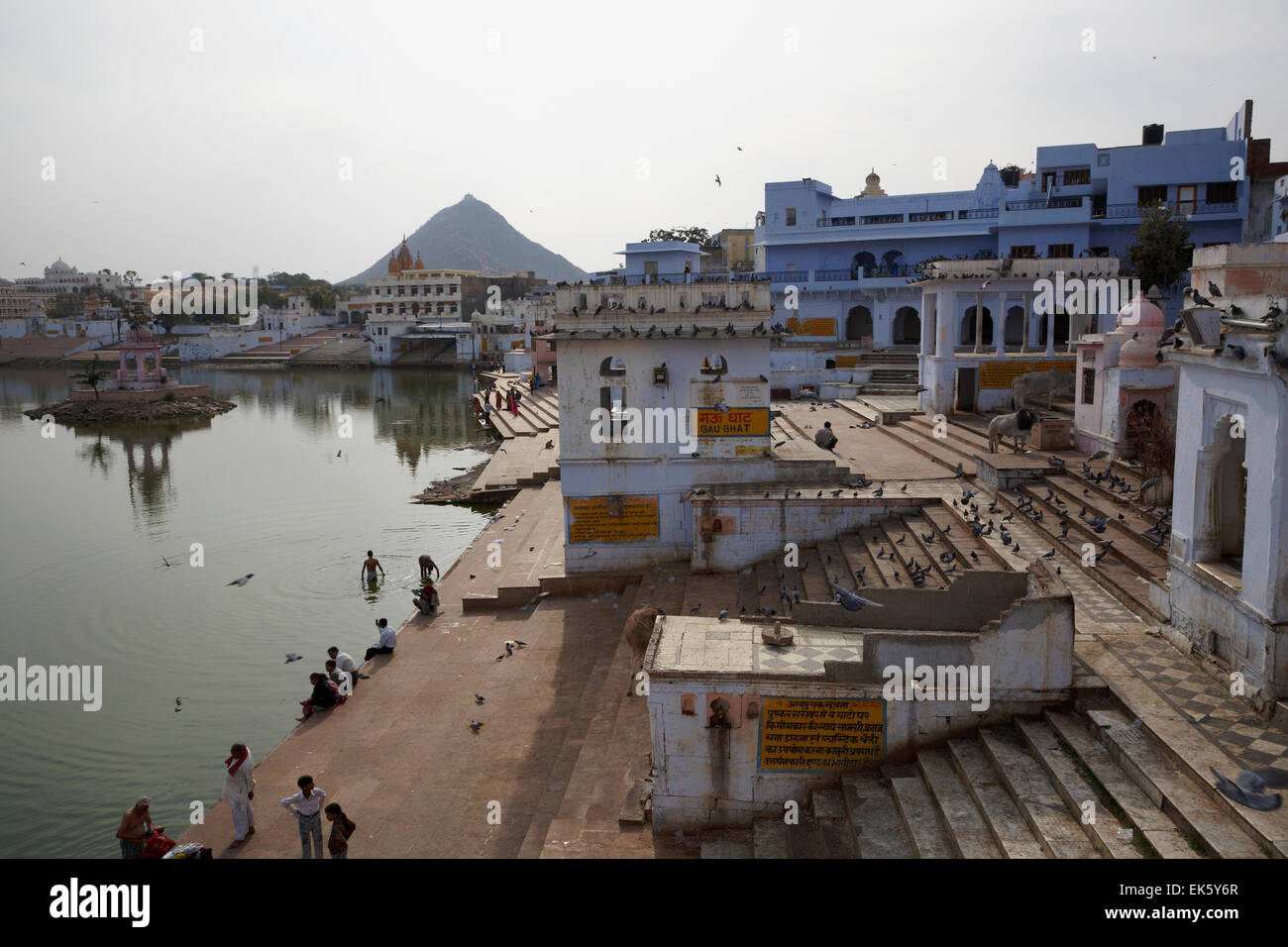 India, Rajasthan, Pushkar, indian pilgrims take a bath in the sacred ...