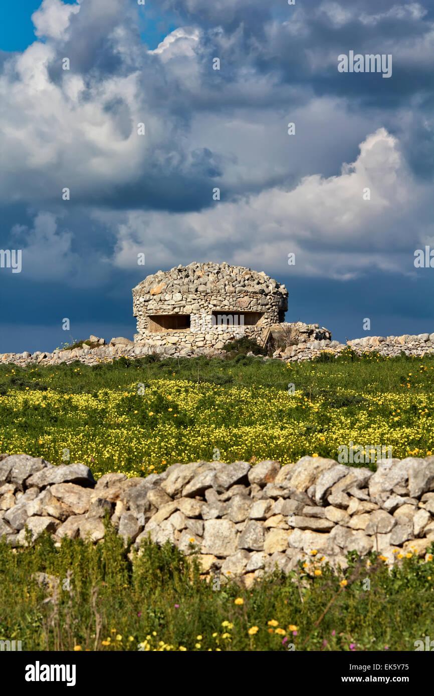 Ww2 german assault guns hi-res stock photography and images - Alamy