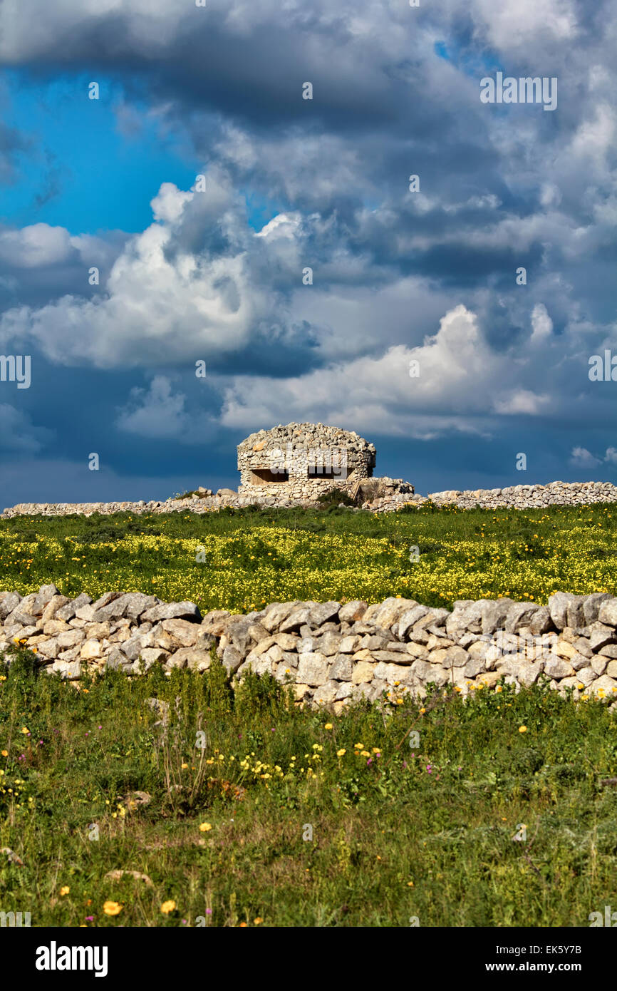 Ww2 german assault guns hi-res stock photography and images - Alamy