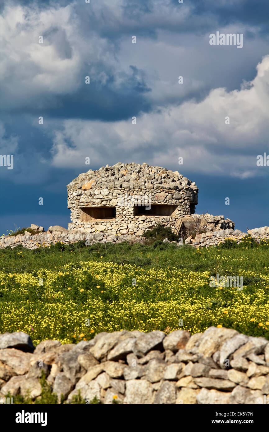 Ww2 german assault guns hi-res stock photography and images - Alamy