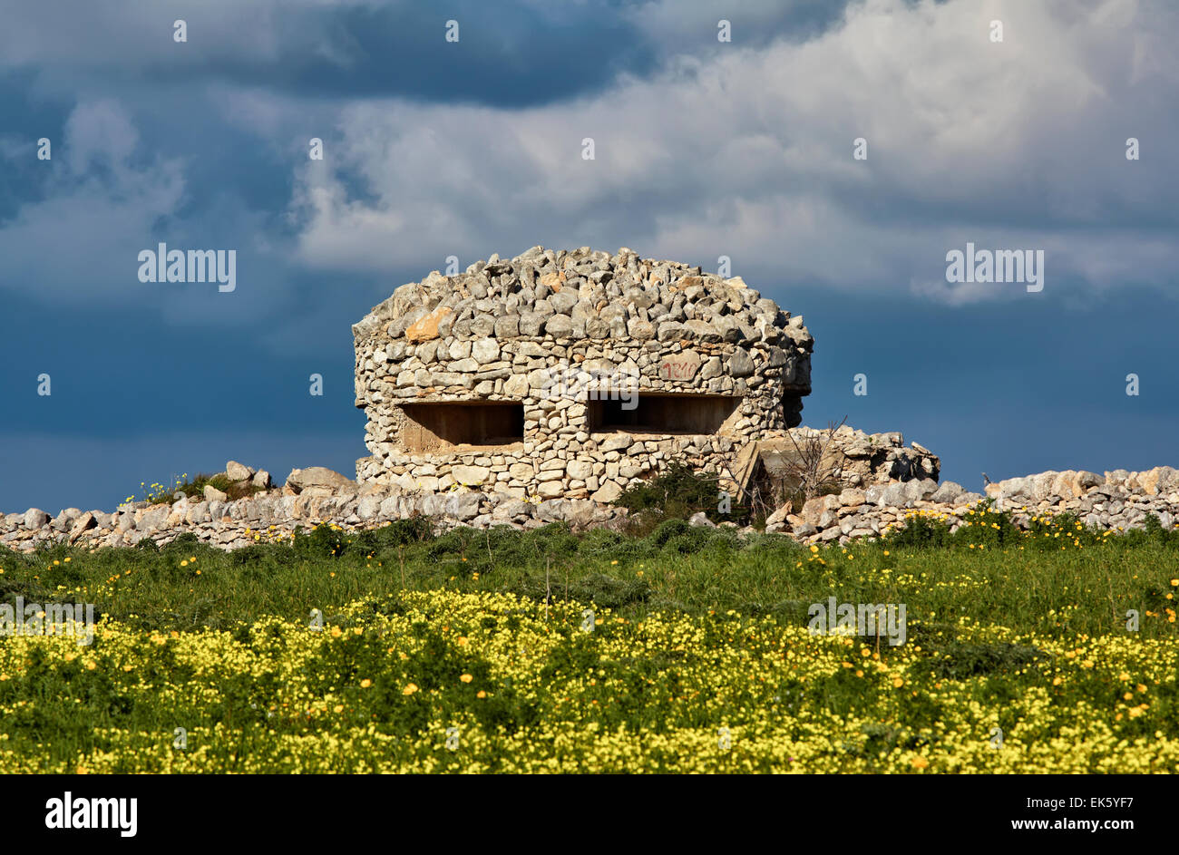 Ww2 german assault guns hi-res stock photography and images - Alamy