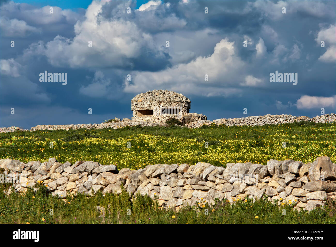 Ww2 german assault guns hi-res stock photography and images - Alamy
