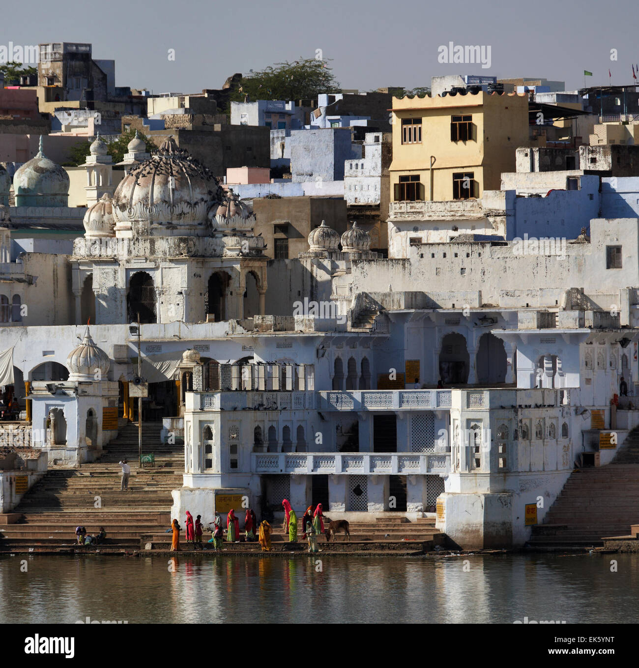 India, Rajasthan, Pushkar, indian pilgrims take a bath in the sacred ...