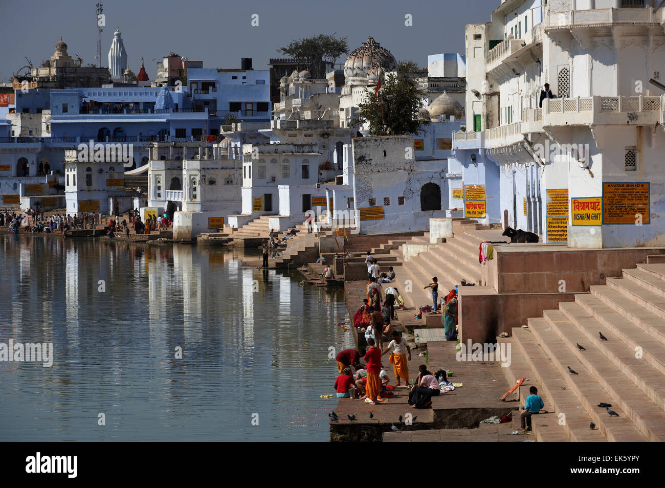 India, Rajasthan, Pushkar, indian pilgrims take a bath in the sacred ...