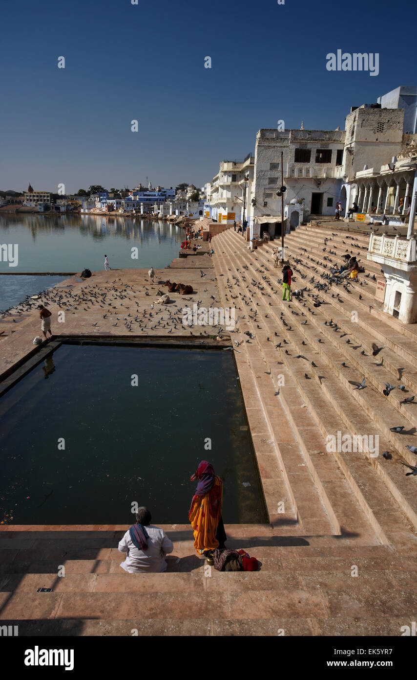 India, Rajasthan, Pushkar, indian pilgrims take a bath in the sacred ...