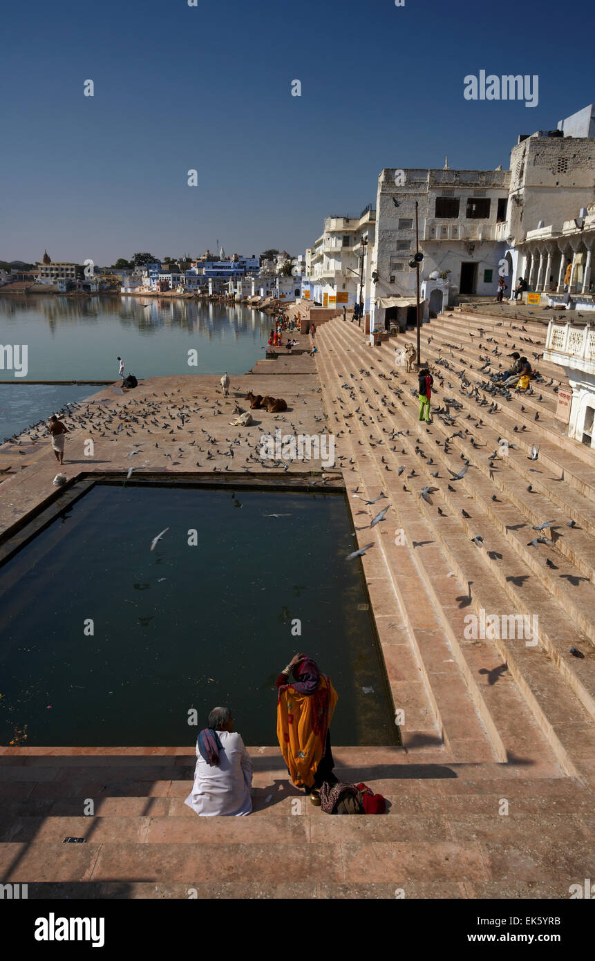 India, Rajasthan, Pushkar, indian pilgrims take a bath in the sacred ...