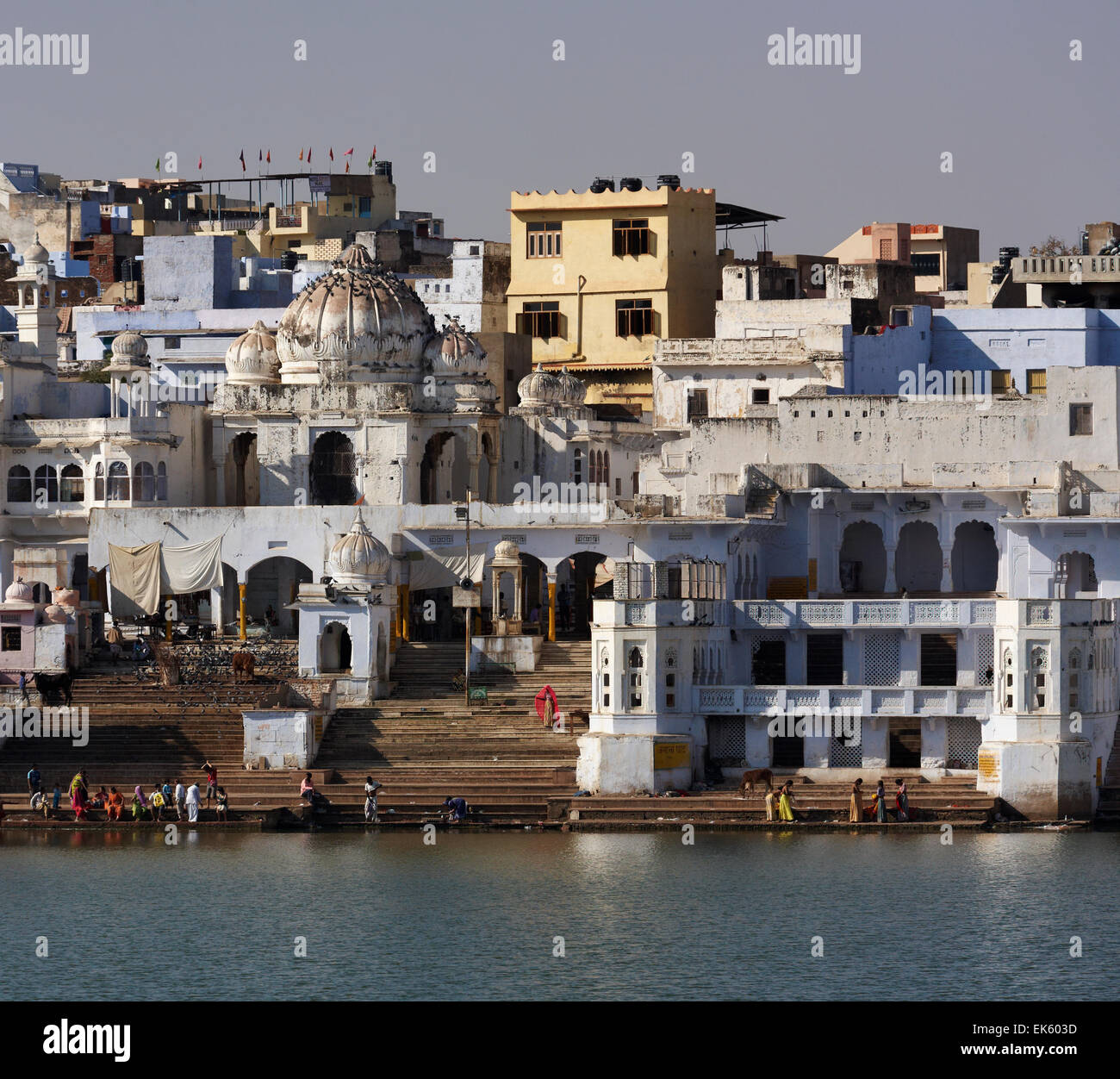 India, Rajasthan, Pushkar, indian pilgrims take a bath in the sacred ...