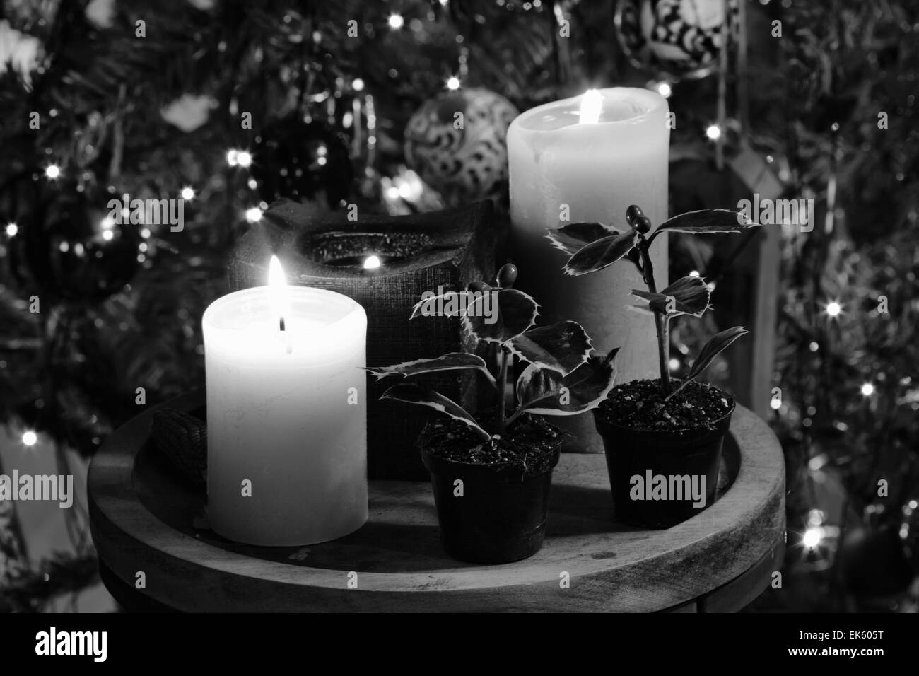 Tree candles Black and White Stock Photos & Images - Alamy