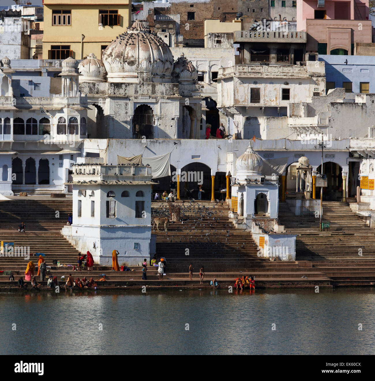 India, Rajasthan, Pushkar, indian pilgrims take a bath in the sacred ...