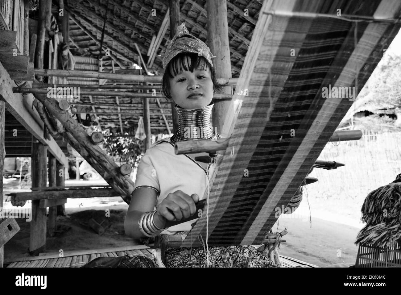 Thailand, Chang Mai, Karen Long Neck hill tribe village (Kayan Lahwi), Long Neck woman in ...