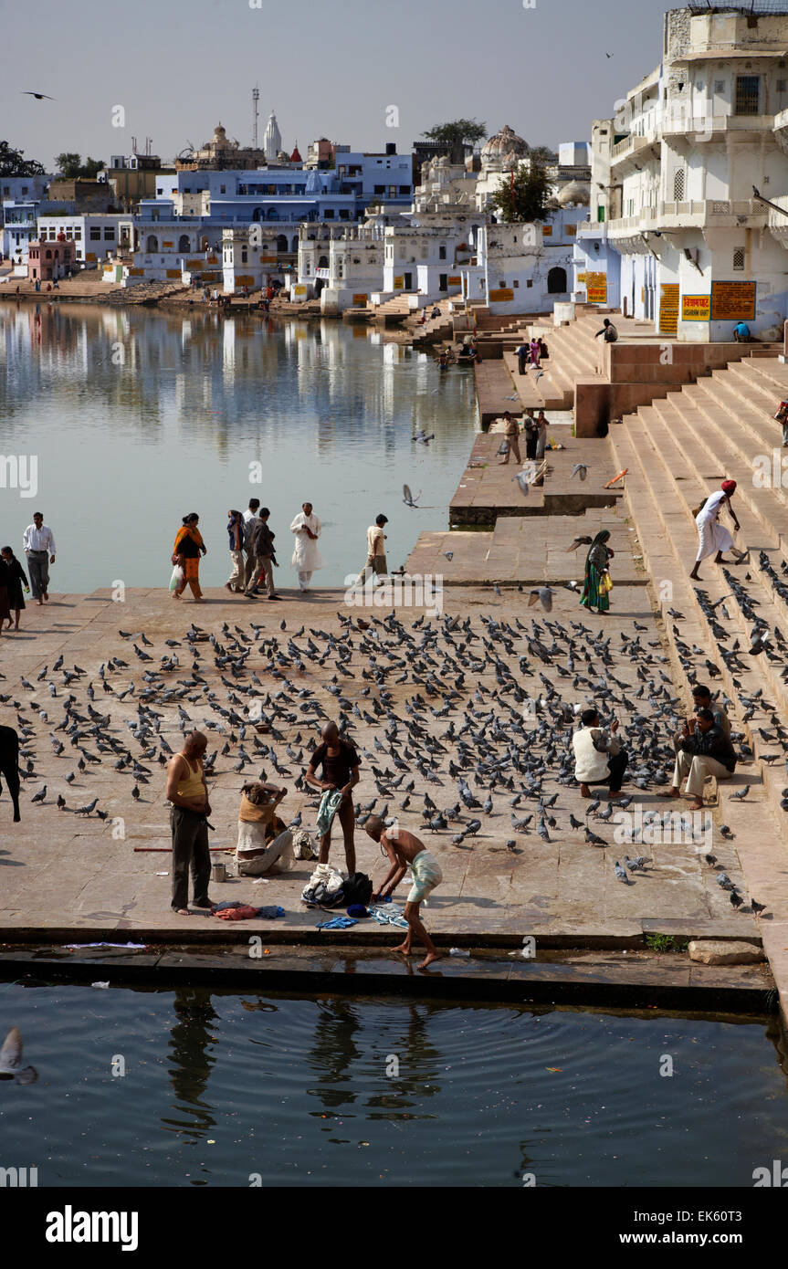 India, Rajasthan, Pushkar, indian pilgrims take a bath in the sacred ...