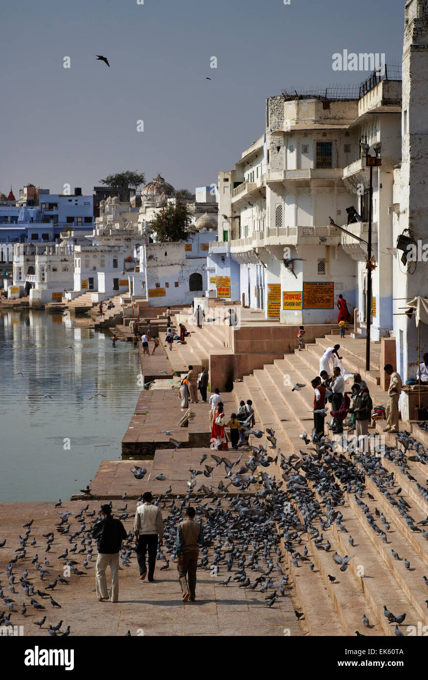 India, Rajasthan, Pushkar, indian pilgrims take a bath in the sacred ...