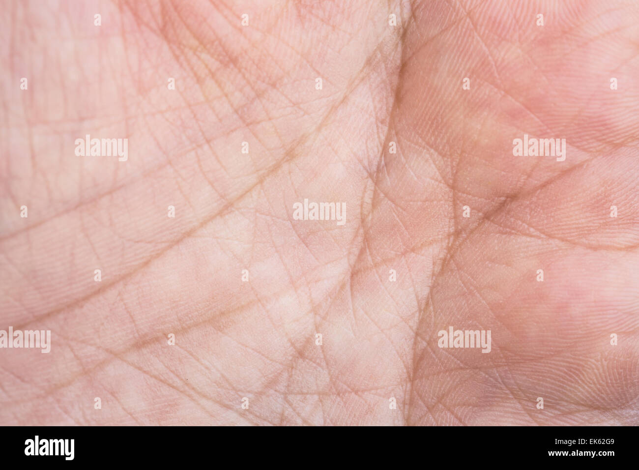 Macro Hand skin texture Stock Photo - Alamy