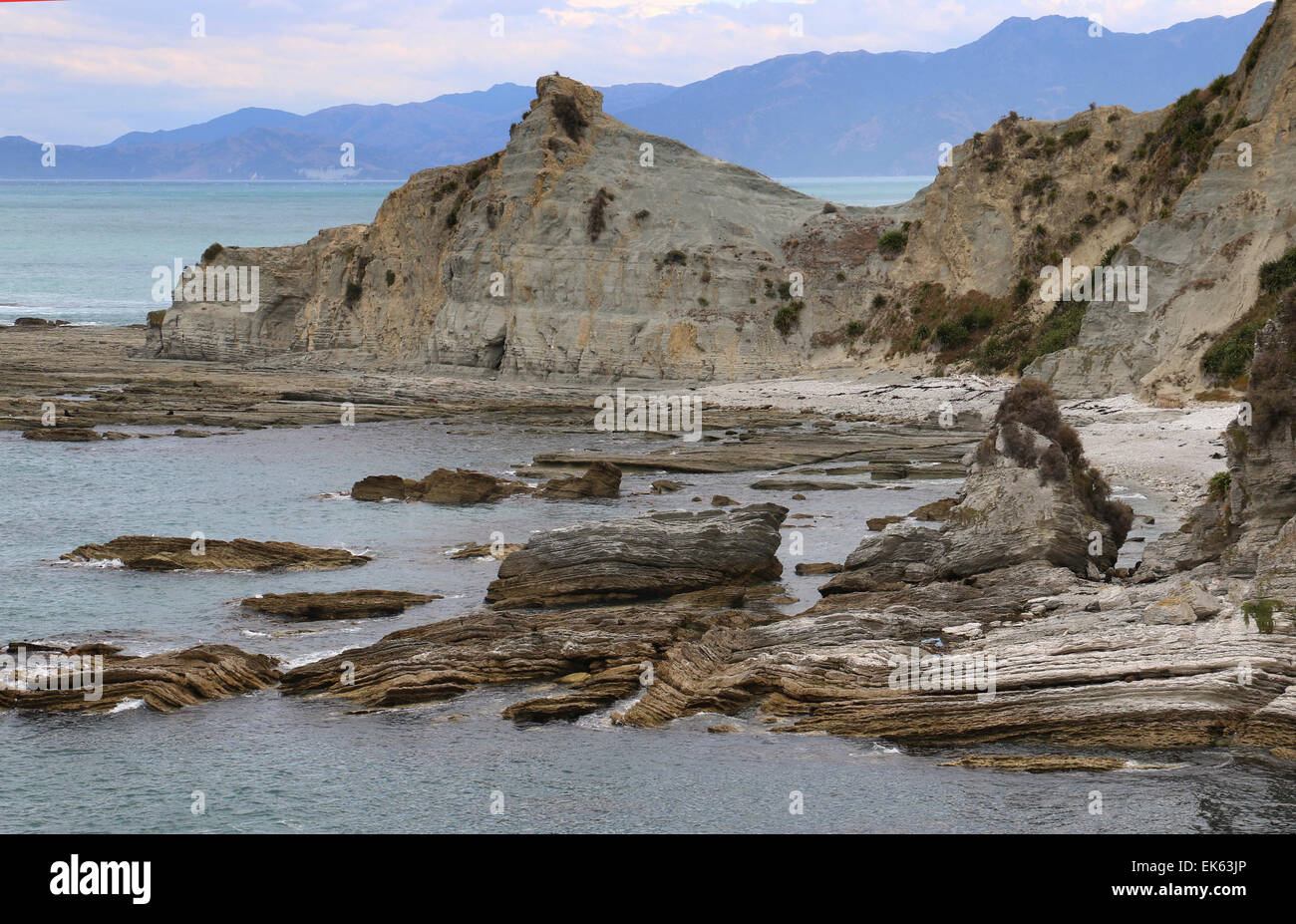 Limestone rock layers and tide pools Kaikoura Peninsula South Island ...