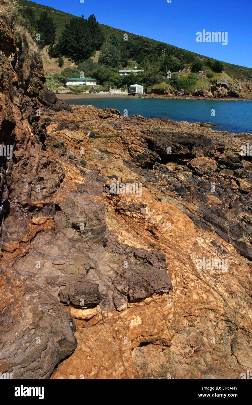 Lava formations, remnants of a miocene volcano Akaroa, Banks Peninsula ...