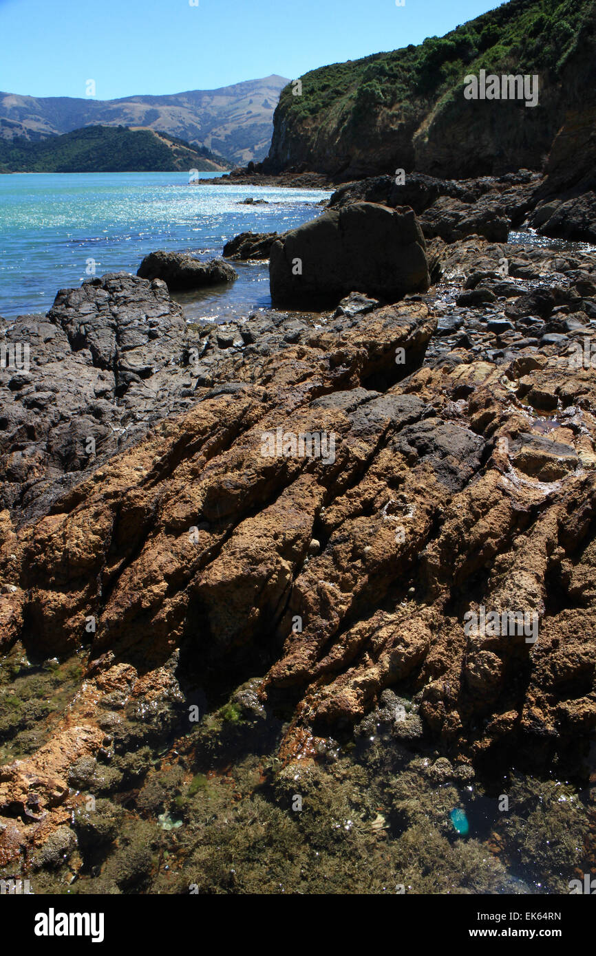 Lava formations, remnants of a miocene volcano Akaroa, Banks Peninsula ...