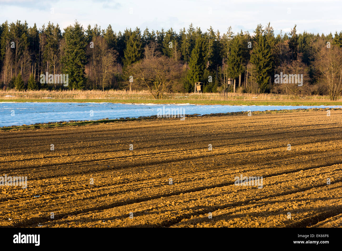 Plastic trash perpetually in our environment, toxic, micro plastic ...