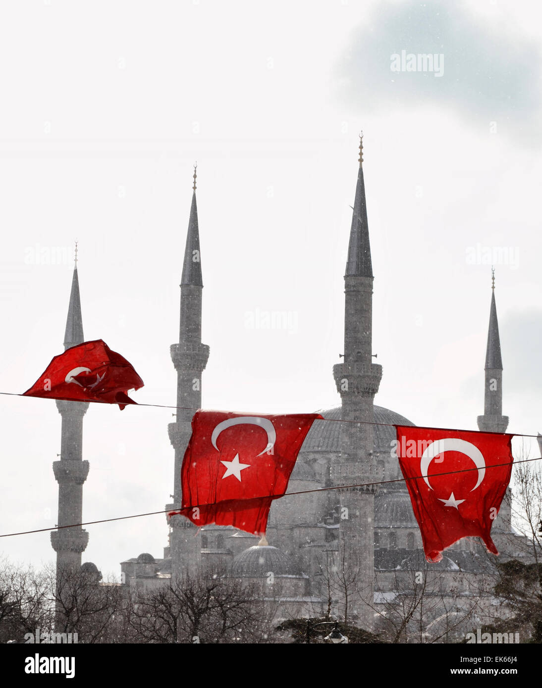 Turkey, Istanbul, turkish flags and the Sultanahmet Imperial Mosque ...