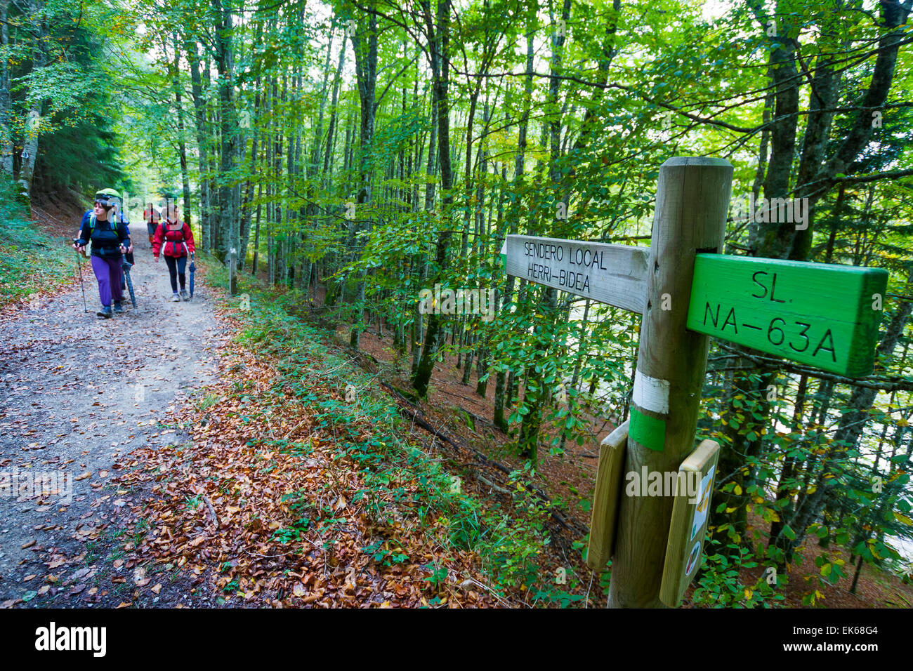 The irati forest hi-res stock photography and images - Alamy