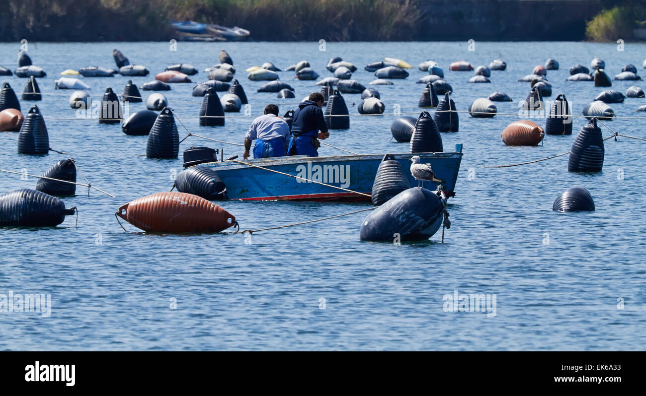 Italy Sicily Ganzirri Messina Fishermen Working In A Mussel Farm