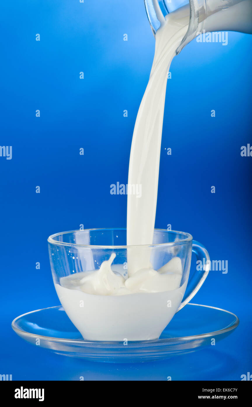 Pouring milk into a cup isolated over blue background Stock Photo - Alamy