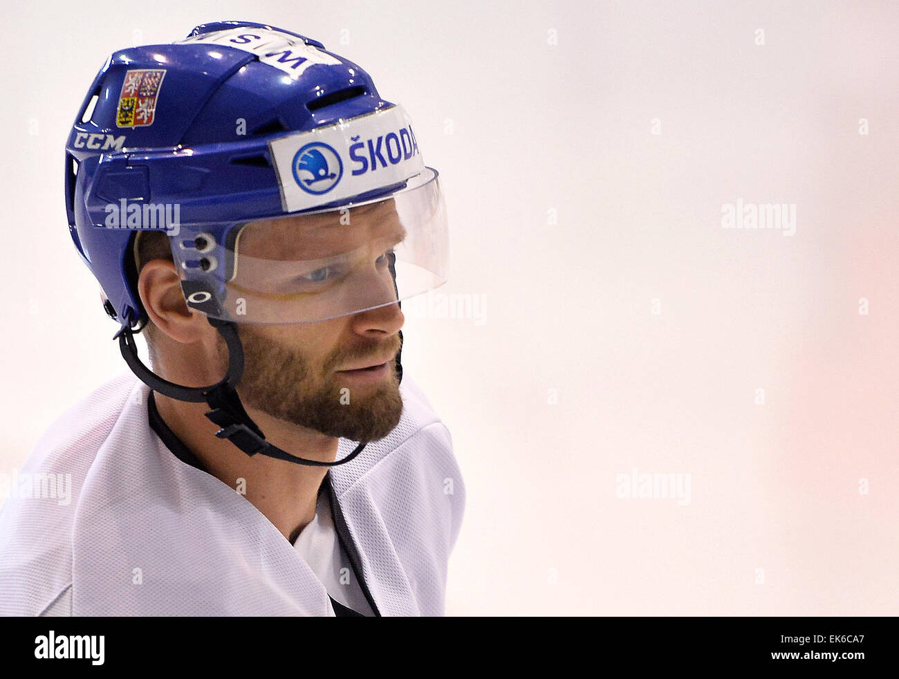 Martin Ruzicka pictured during the training of Czech National Hockey ...