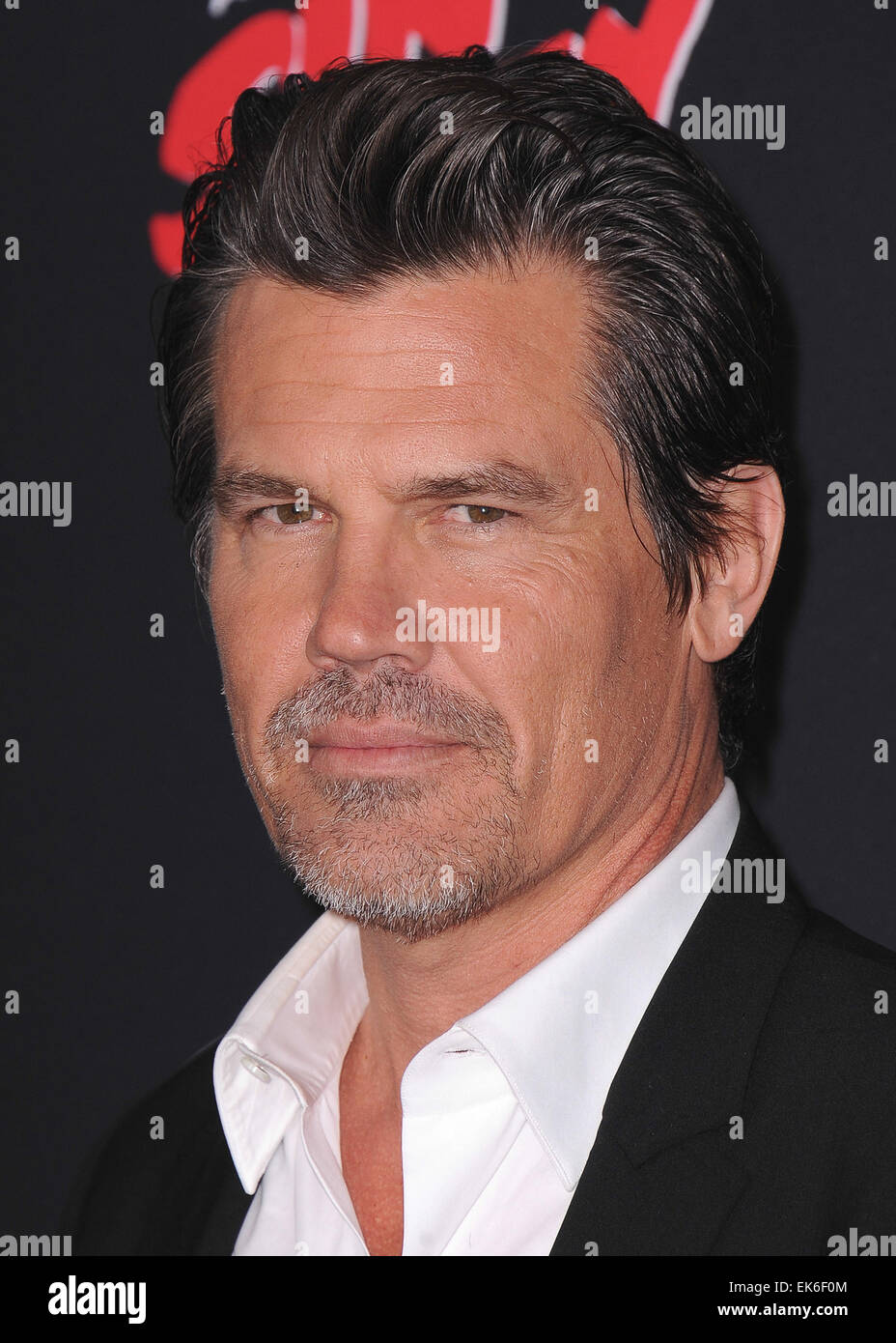 The 'Sin City: A Dame To Kill For' Los Angeles Premiere at TCL Chinese ...