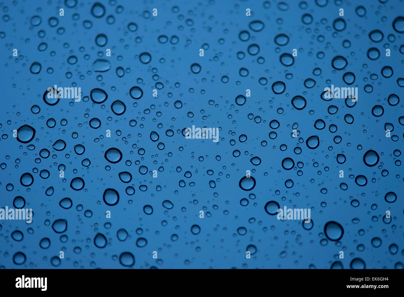 droplets of rain on a glass window Stock Photo - Alamy