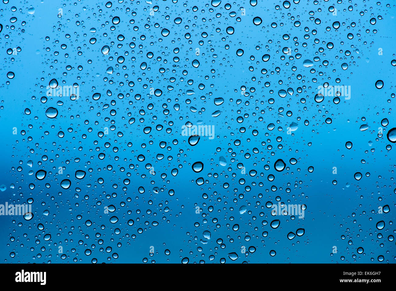 droplets of rain on a glass window Stock Photo - Alamy