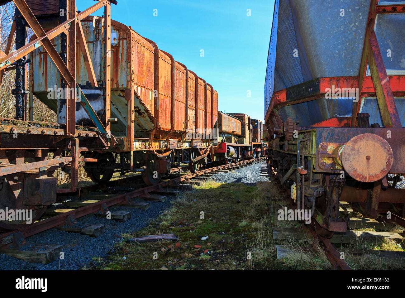 Old and abandoned rusting steam trains and railway carriages, Ayrshire ...