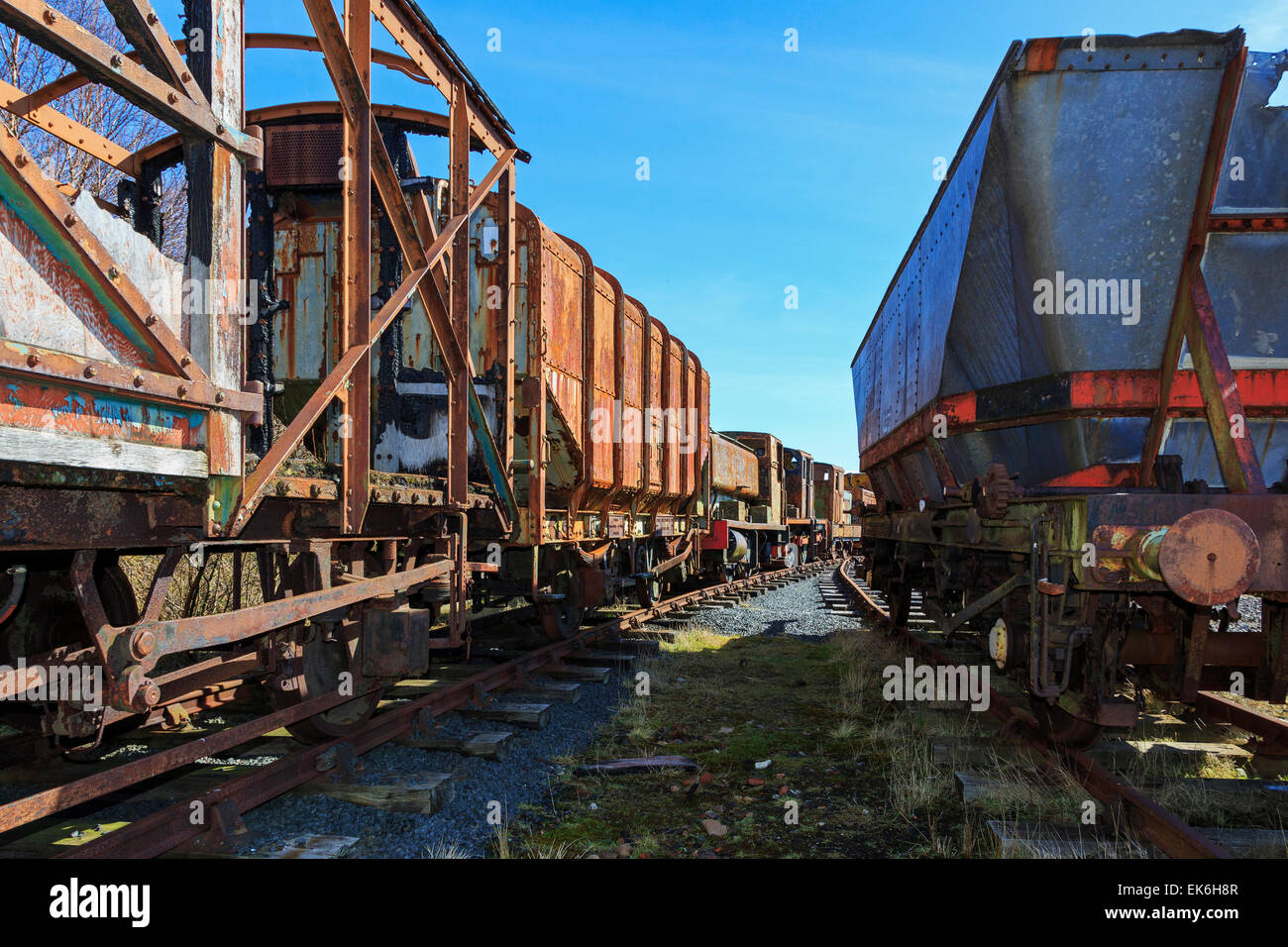 Old and abandoned rusting steam trains and railway carriages, Ayrshire ...