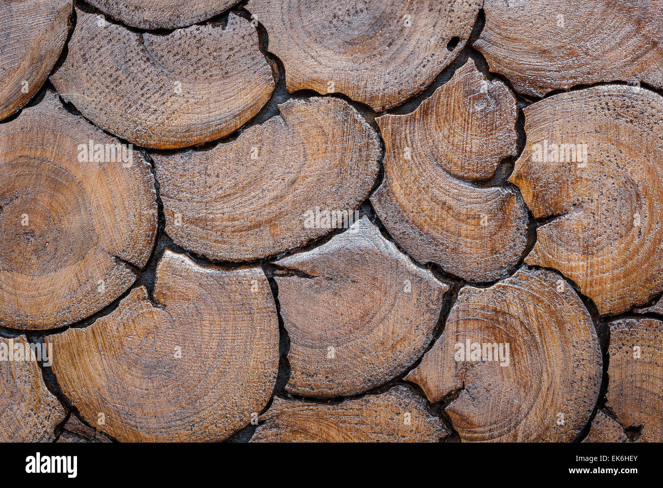 Wood log background texture Stock Photo - Alamy