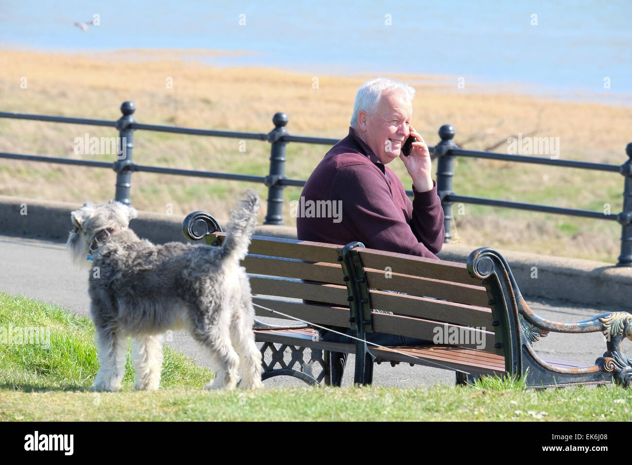 Talking dog hi-res stock photography and images - Alamy