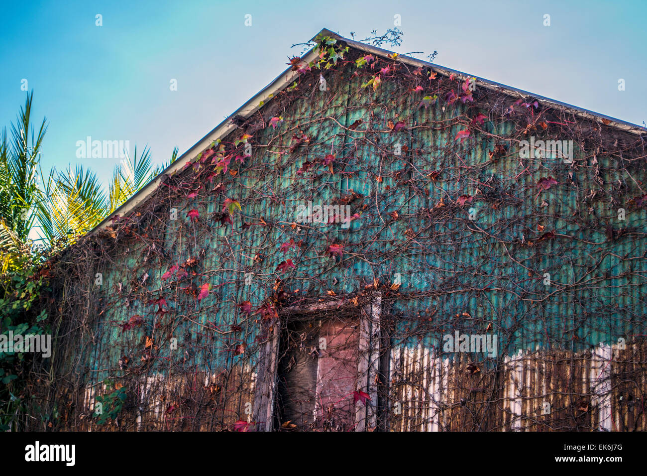 Tin Building in Northern California Stock Photo - Alamy