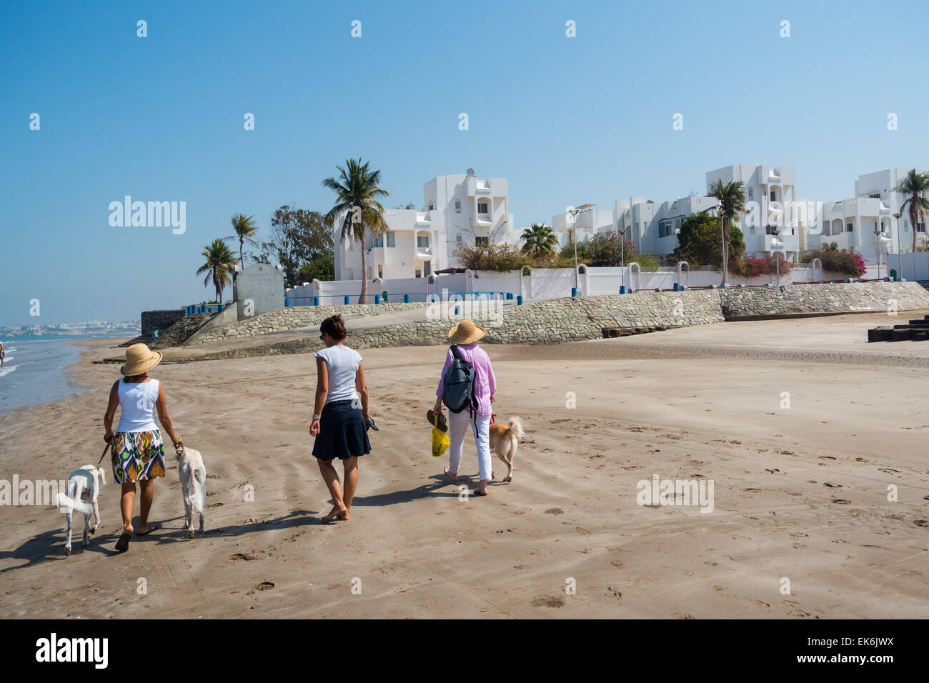 Ex-pats walking their dogs on Shatti Al Qurum Beach, Muscat, Oman Stock ...
