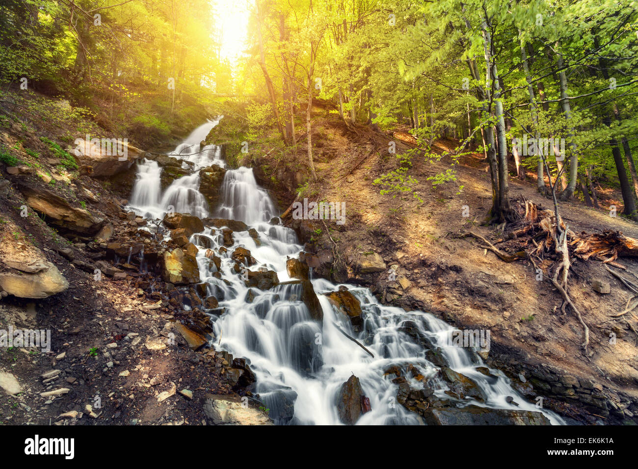 Beautiful waterfall in spring forest. Sunset (Ukraine Stock Photo - Alamy