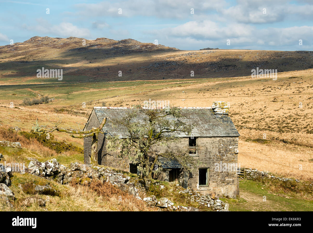 An old abandoned farmhouse on Bodmin Moor in Cornwall with Brown Willy ...