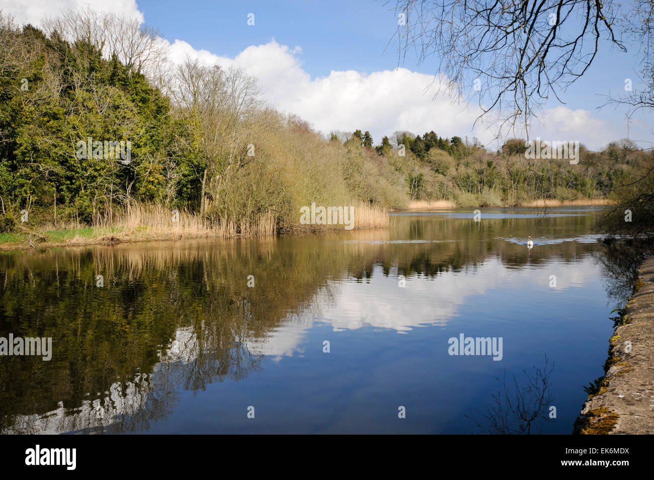 River quoile summer hi-res stock photography and images - Alamy
